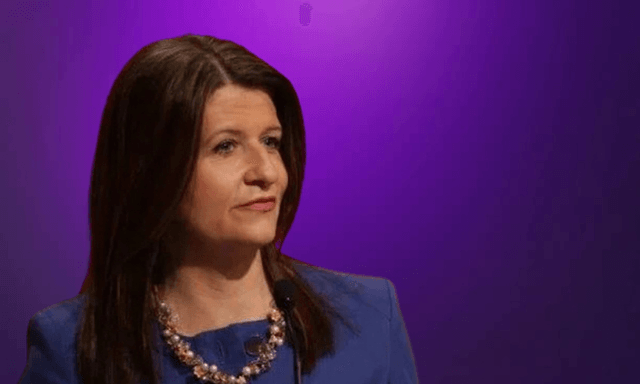 Auditor general issues damning findings into Manaaki dispute with ...