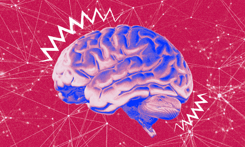 Neuroberries and neuroscience: How Ārepa feeds the brain | The Spinoff