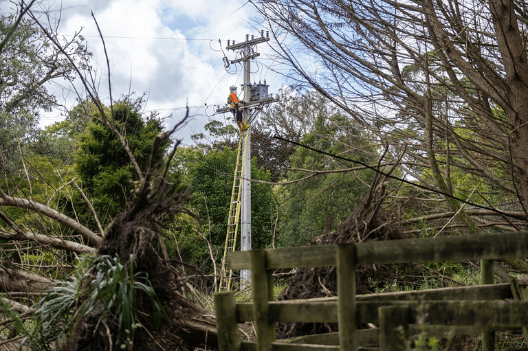 What it will take to fix all those broken power lines | The Spinoff