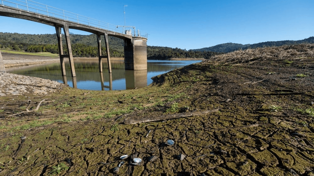 The wet-dry flip-flop | The Spinoff