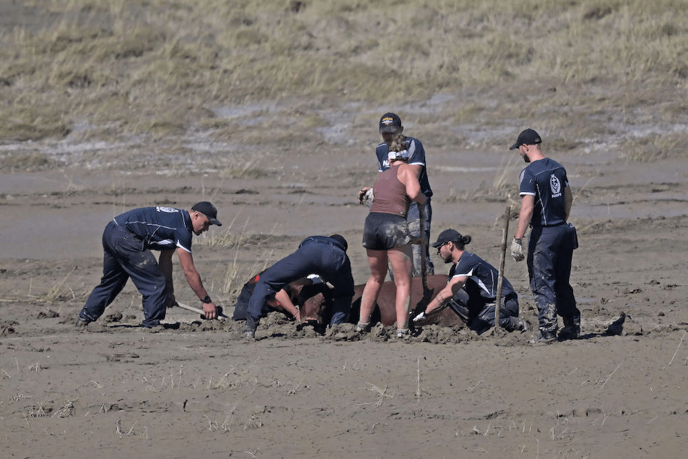Cyclone Gabrielle’s aftermath, in pictures | The Spinoff