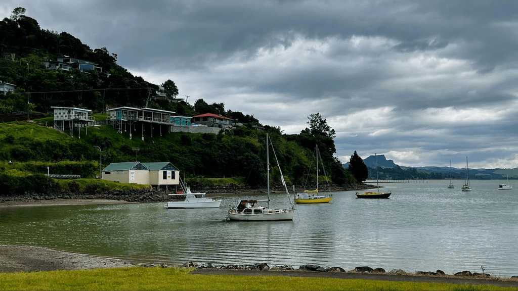 On the ground in Whangaroa: ‘Every time it rained you’d be picking pūhā ...