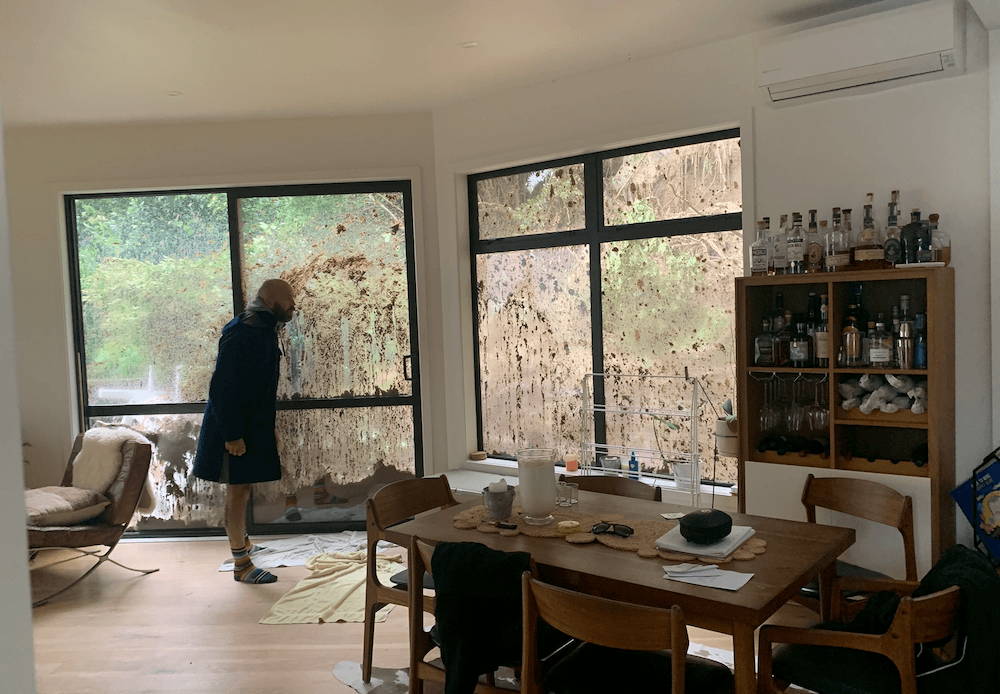 Cyclone Gabrielle’s aftermath, in pictures | The Spinoff