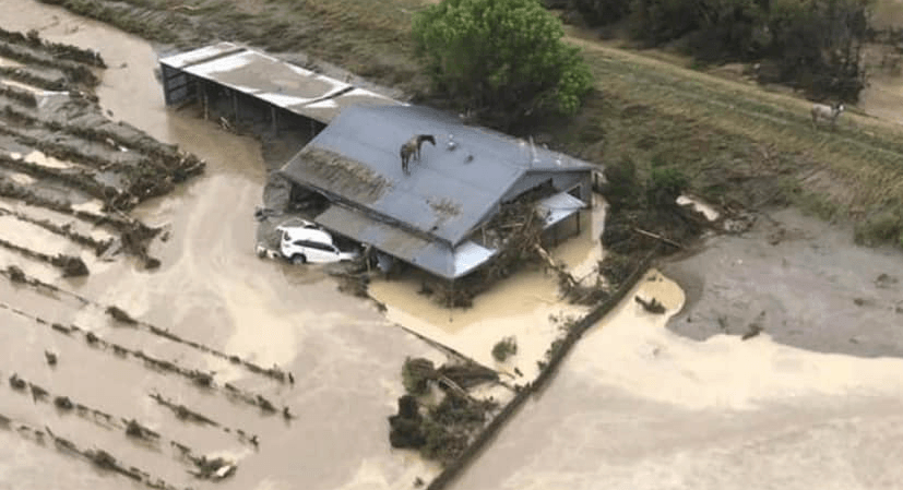 Cyclone Gabrielle’s aftermath, in pictures | The Spinoff
