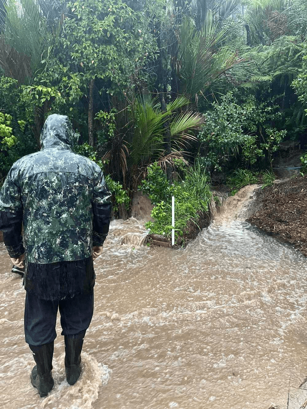 Cyclone Gabrielle’s aftermath, in pictures | The Spinoff