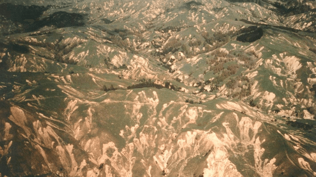 An environmental disaster was waiting to happen in Tolaga Bay. No one ...