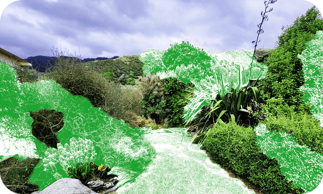 How to boost your backyard biodiversity | The Spinoff