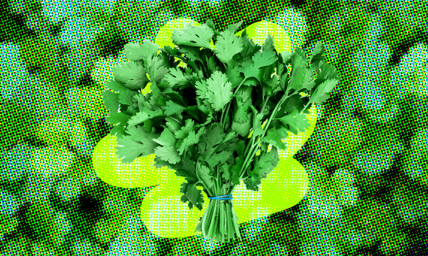 Ingredient of the Week: Coriander | The Spinoff