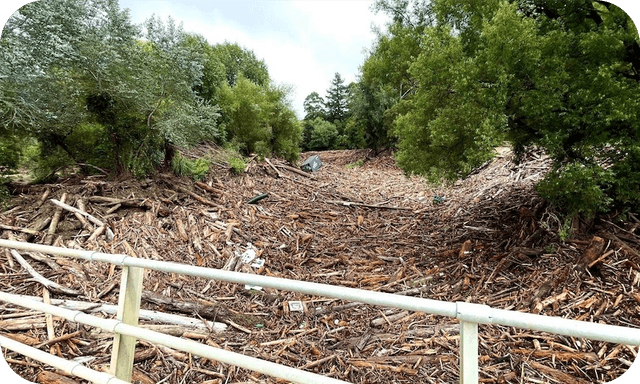 An environmental disaster was waiting to happen in Tolaga Bay. No one ...
