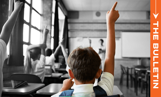 National’s ‘back to basics’ plan to address the literacy crisis | The ...