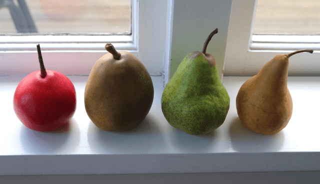Ingredient of the week: Pears | The Spinoff