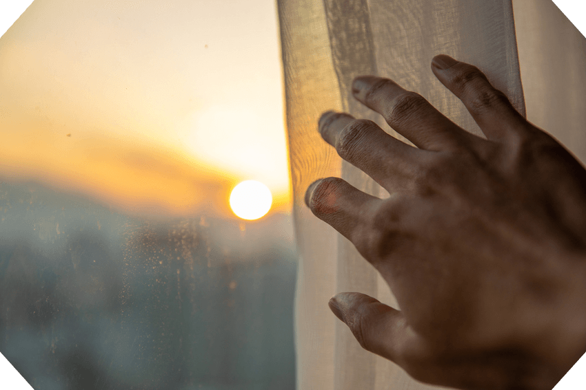 The Friday Poem: ‘Out of love ritual in ten steps’ by Sudha Rao | The ...