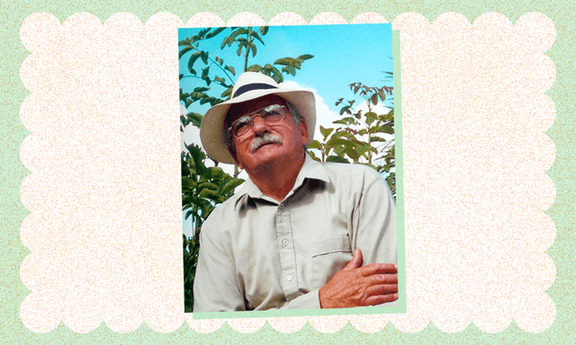 ‘His generosity was limitless’: Remembering Kevin Ireland, 1933 – 2023 ...