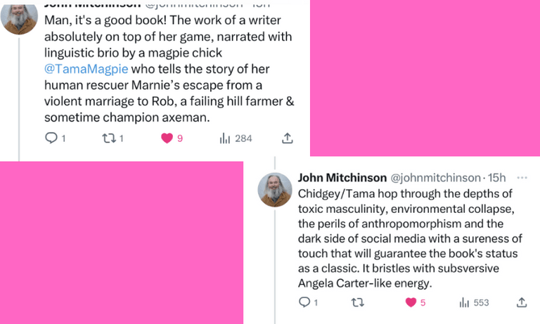 ‘Each book is such a different creature’: An interview with Catherine ...