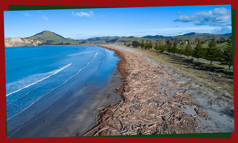 Forestry slash devastated Tairāwhiti and Wairoa after Cyclone Gabrielle ...