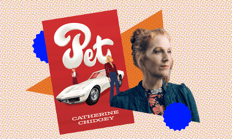 Looking through the windows of a haunted house: a review of Pet by ...