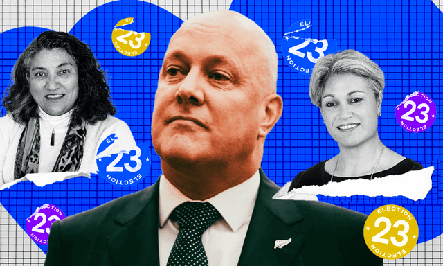 National is shooting its Māori seat candidates in the foot | The Spinoff