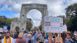 Revealed: The unexpected downside of moving to Christchurch | The Spinoff