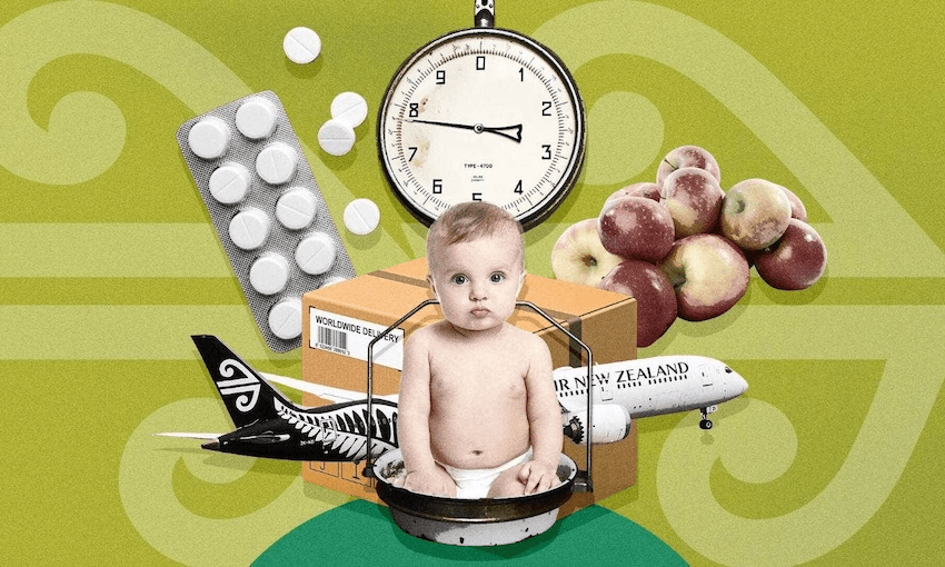 The mystery of the Air New Zealand scales | The Spinoff