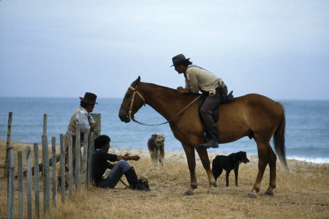 A feast of Māori movies to see on the big screen this Matariki | The ...