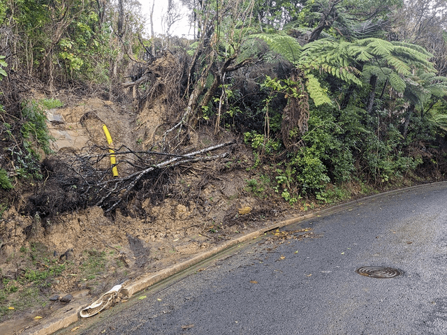 The spongier city rising from the Auckland floods | The Spinoff