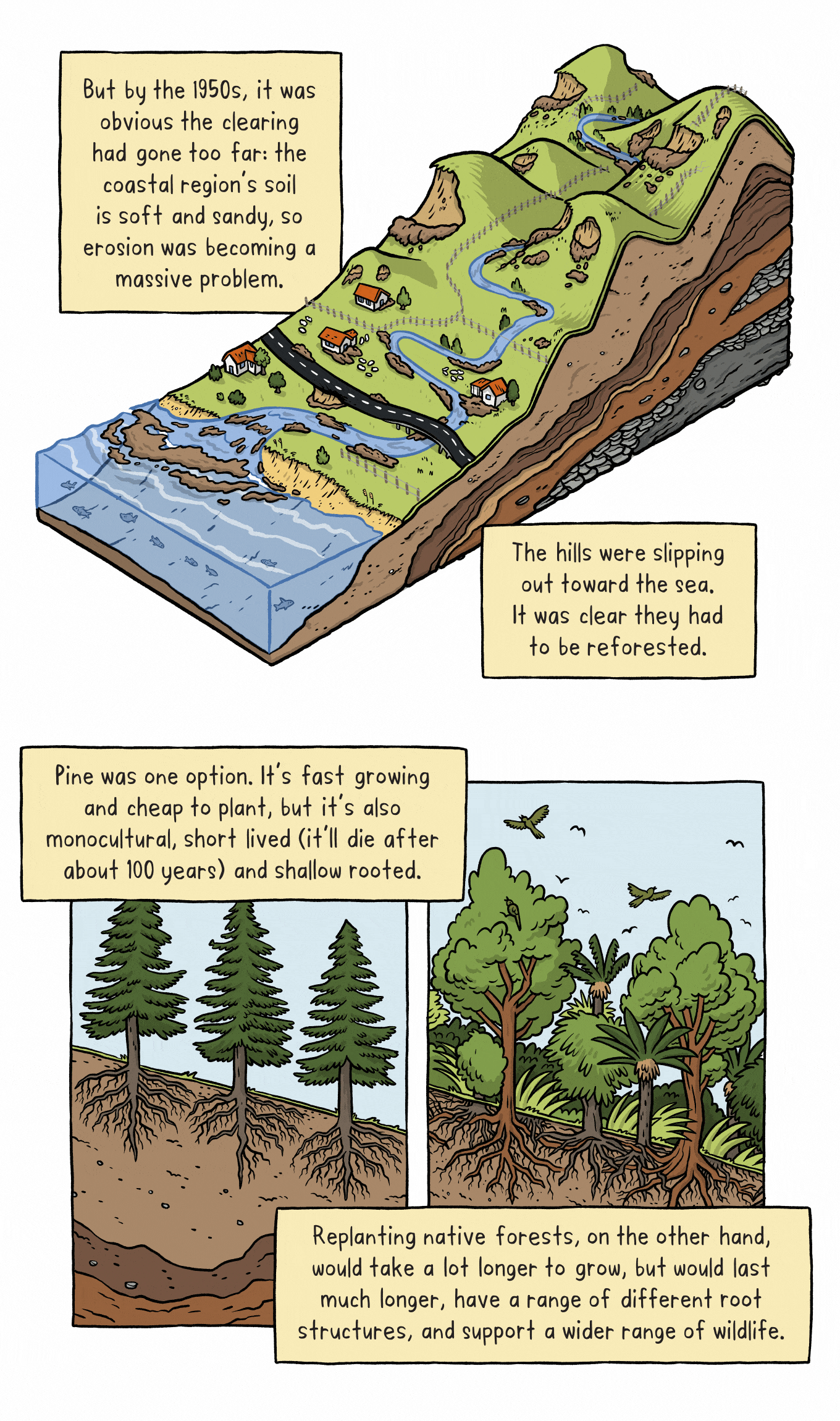 The Side Eye: Deeper roots | The Spinoff