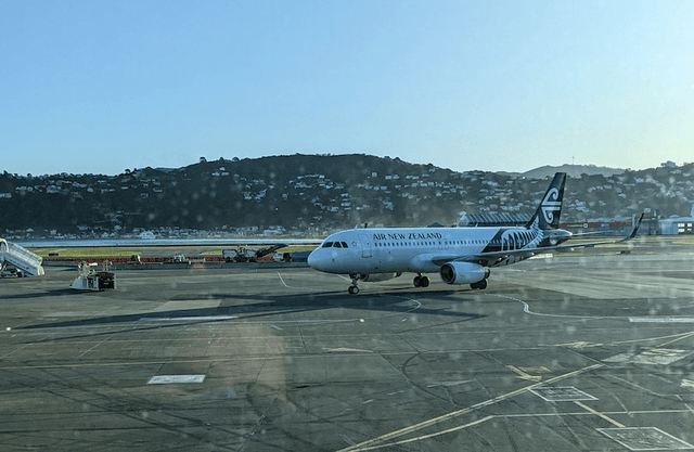 I went to every Mojo cafe in Wellington in a single day | The Spinoff