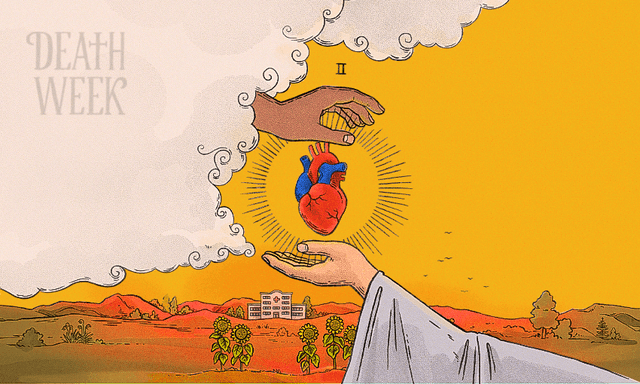 The first patient | The Spinoff