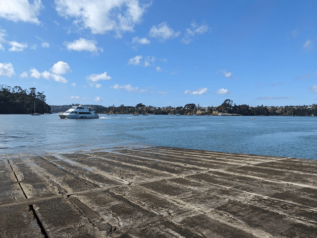 Do fewer ferry services now mean better boats in the future? | The Spinoff