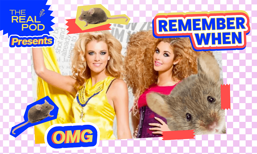 Remember when The Ridges used a stunt mouse? | The Spinoff