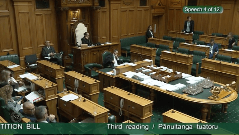 Thank you for doing the shopping, Sam Uffindell | The Spinoff