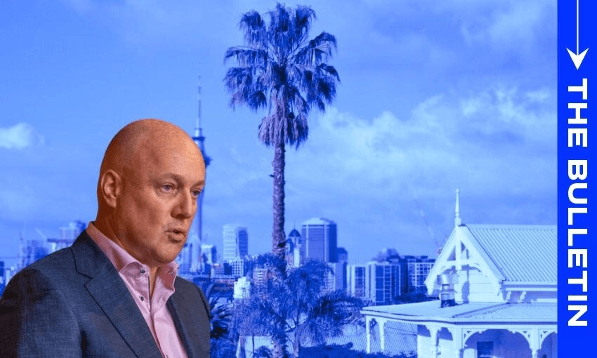 National facing pressure on foreign buyer ban policy | The Spinoff