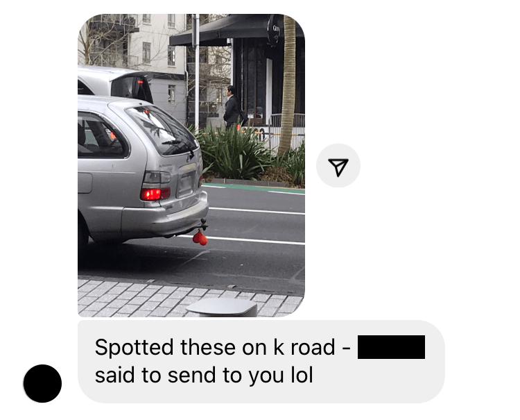 Yes, those are testicles hanging from my car | The Spinoff