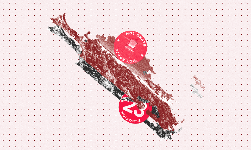 It’s the tail that directs the fish: The political heft of Te Tai ...