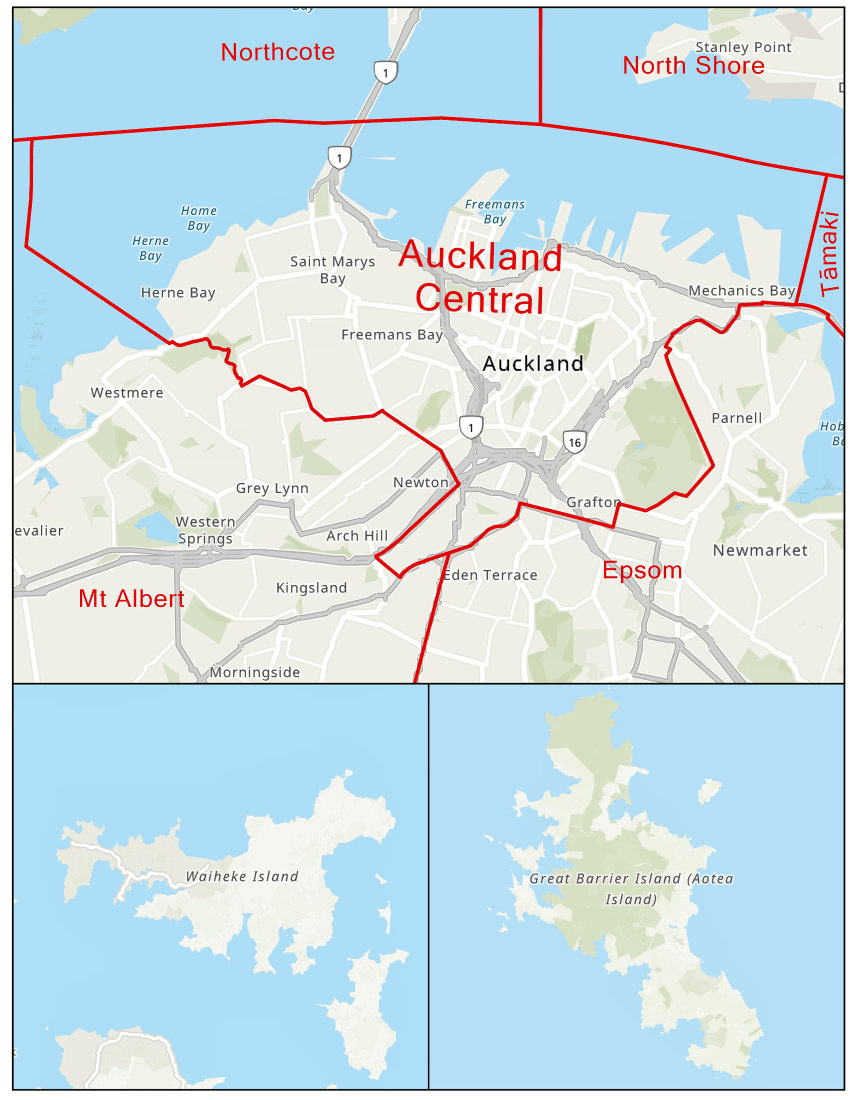 Who dares challenge Chlöe? The race for Auckland Central | The Spinoff