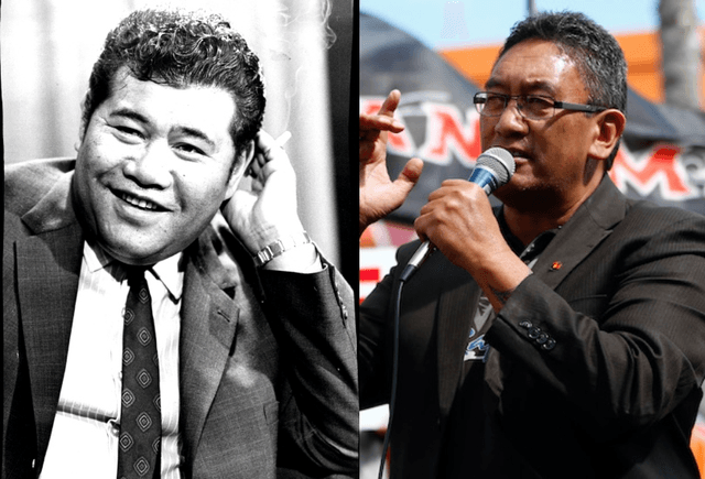 It’s the tail that directs the fish: The political heft of Te Tai ...