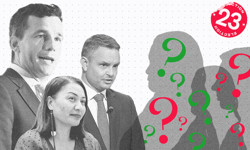 Who are the new Greens and Act MPs? | The Spinoff