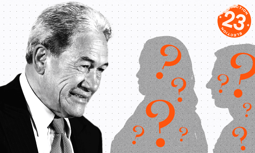 Meet the new NZ First MPs | The Spinoff