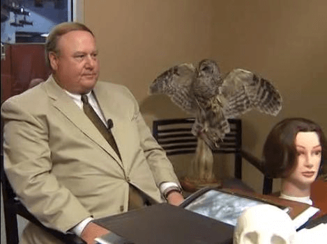 In the grip of The Staircase owl theory | The Spinoff