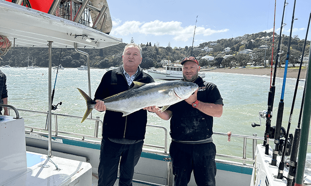 The rise and fall and fall and rise and fall and rise and fall and rise ...