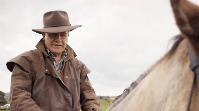 Winston Peters and the demonstrably true tweet | The Spinoff