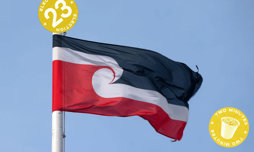 Election 2023: The co-governance and Te Tiriti o Waitangi policies in ...
