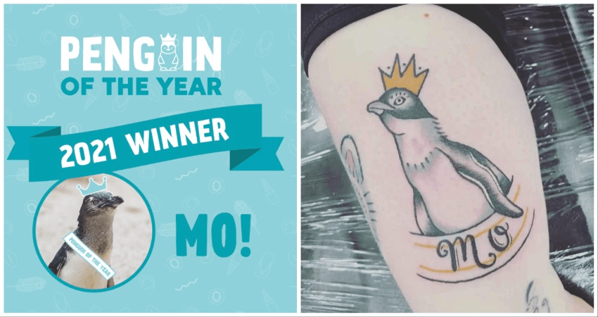 Good penguin, naughty penguin: Inside the incredible drama at the ...