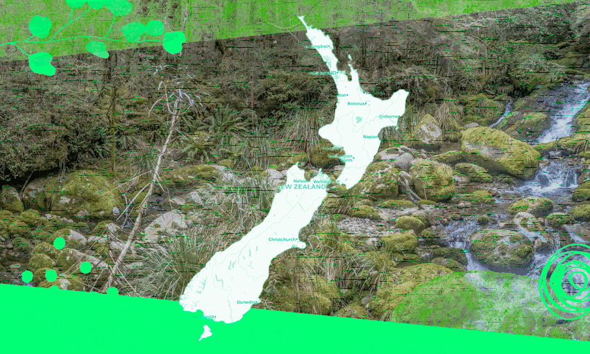 Want to bring back biodiversity? This map can help | The Spinoff