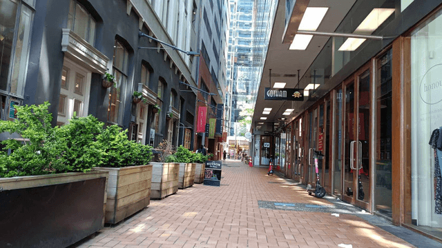 Life in the slow lane: Wellington’s laneways, ranked from worst to best ...