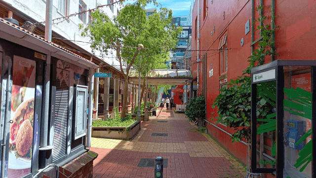 Life in the slow lane: Wellington’s laneways, ranked from worst to best ...