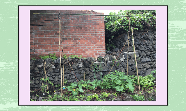 Their house, my garden: Support systems | The Spinoff