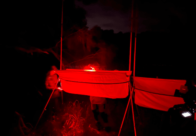 We’re going on a bat hunt | The Spinoff