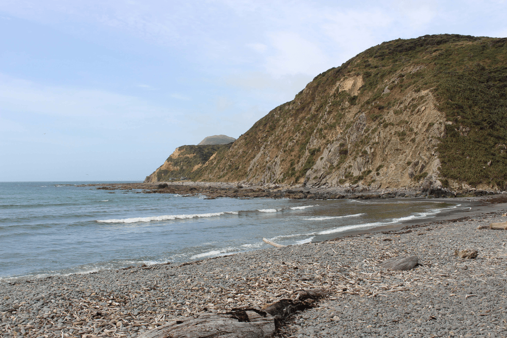 One day, 25 swims: A definitive ranking of Wellington’s best and worst ...