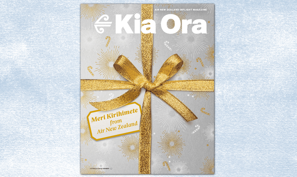 what-is-nzta-a-user-s-guide-to-the-new-english-names-the-spinoff